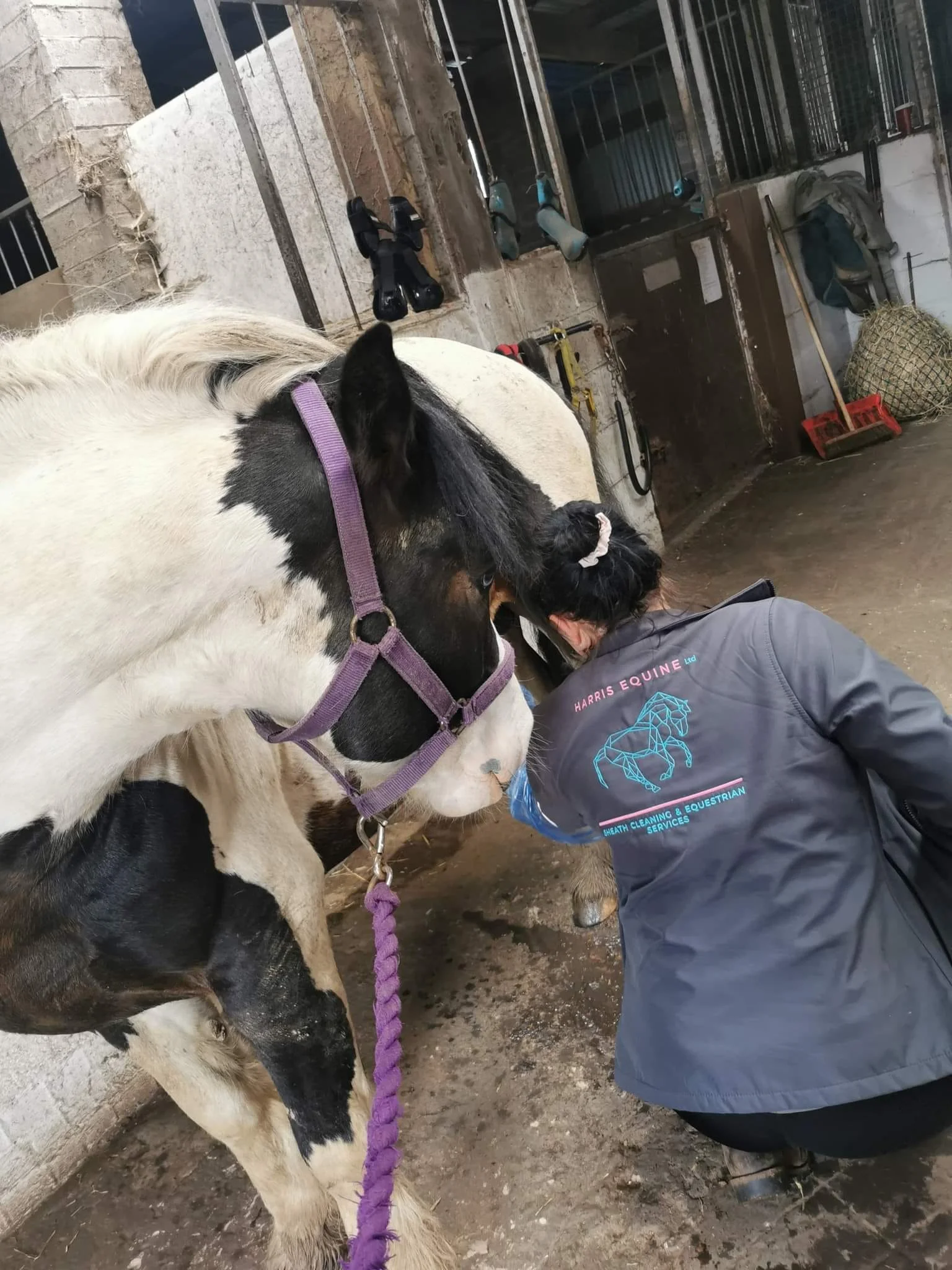 Harris Equine Intimate Health (sheath cleaning throughout Scotland)