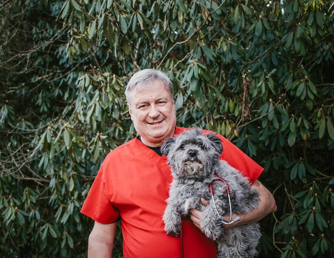 About - Animal Hospital of Boone - North Carolina - Veterinary Clinic