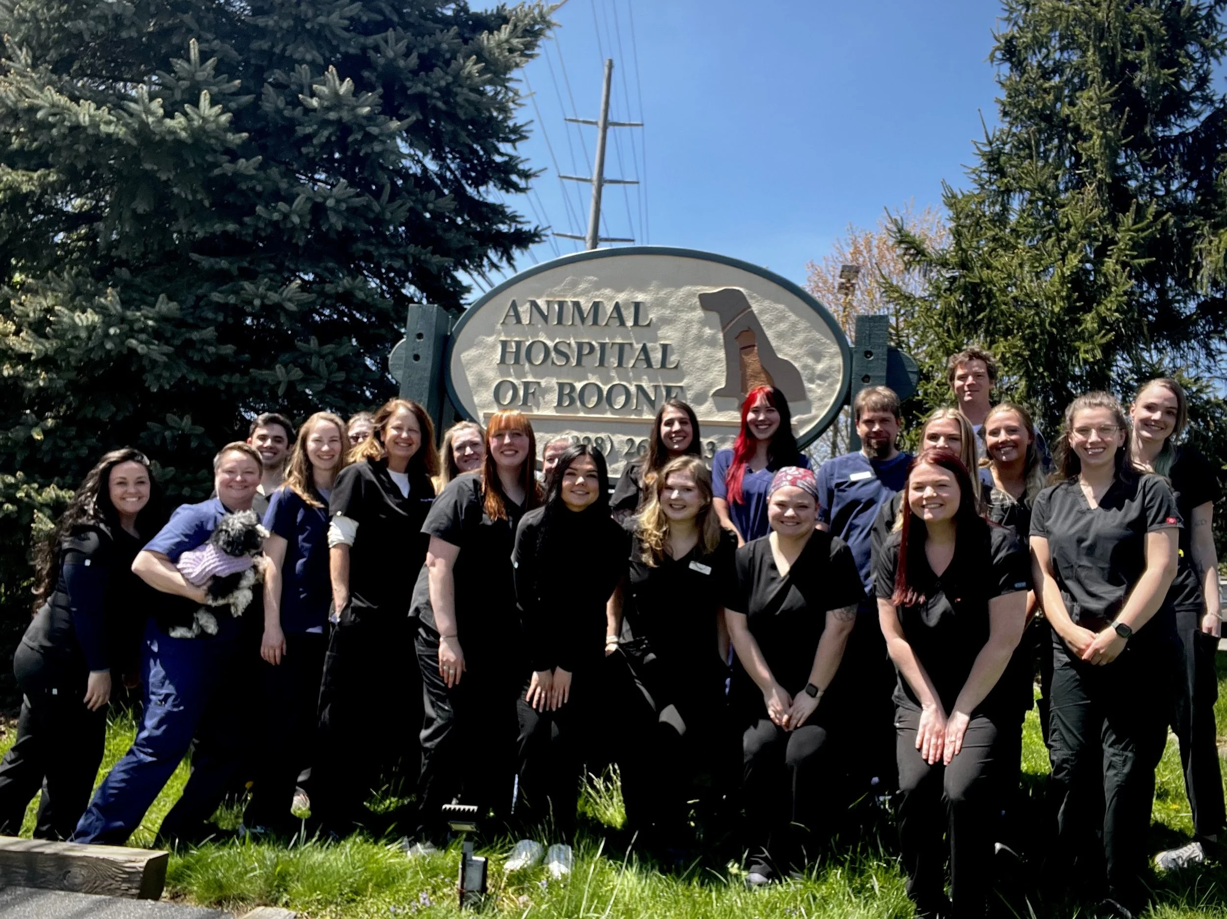 Animal Hospital of Boone, NC - Awarded "Best Animal Clinic of the High ...