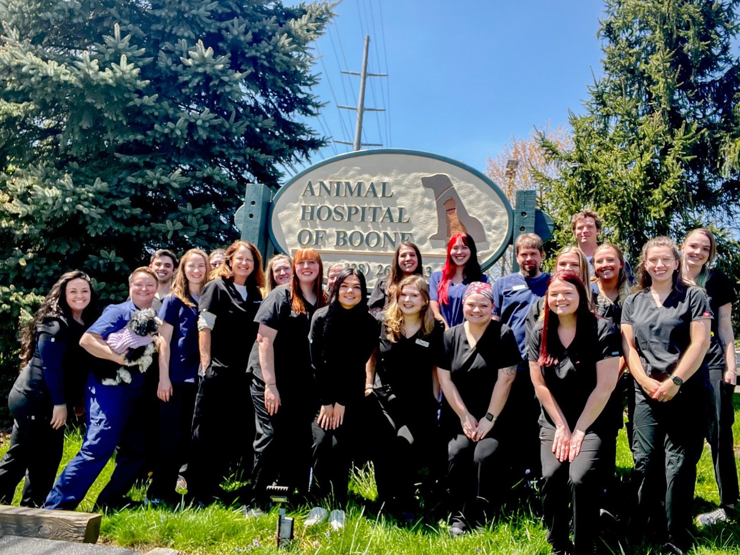 Veterinarians, Veterinary Technicians & Support Staff - Animal Hospital ...