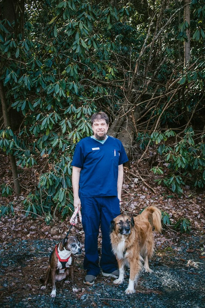 Veterinarians, Veterinary Technicians & Support Staff - Animal Hospital ...