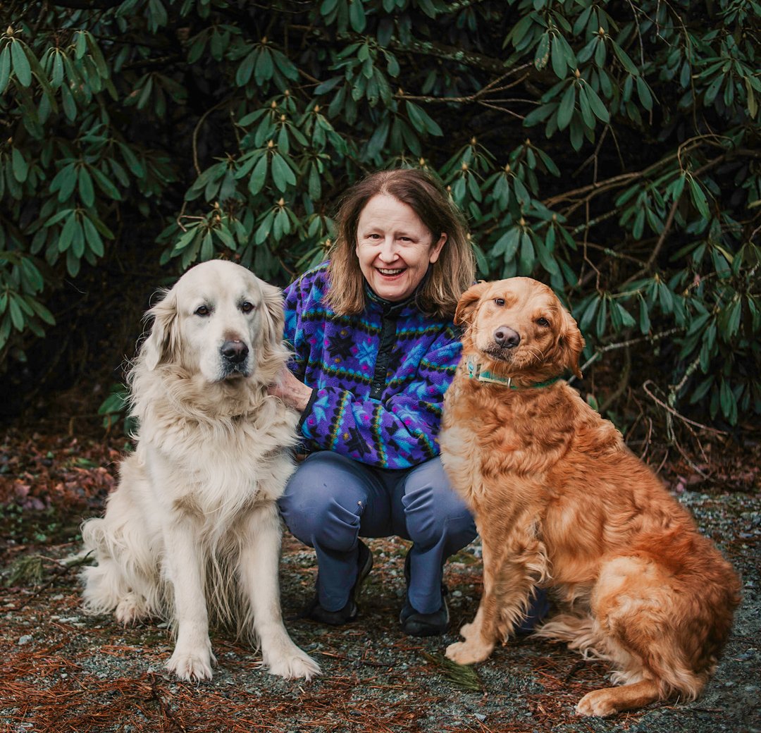 Services - Animal Hospital of Boone - North Carolina - Veterinary Clinic