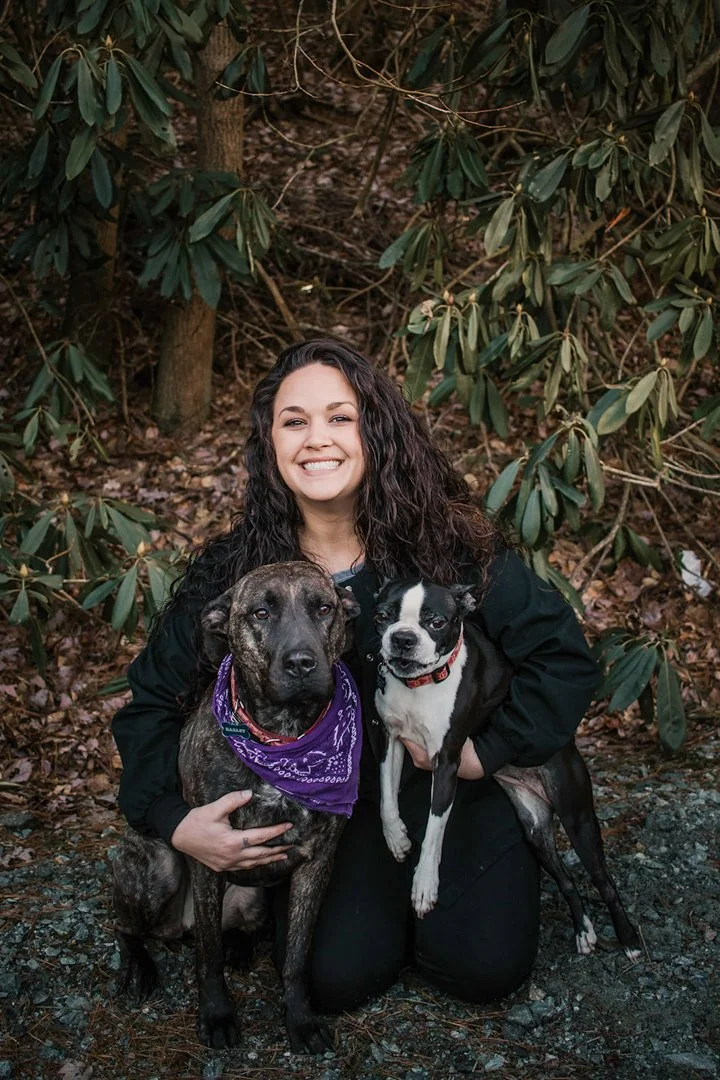 Veterinarians, Veterinary Technicians & Support Staff - Animal Hospital ...