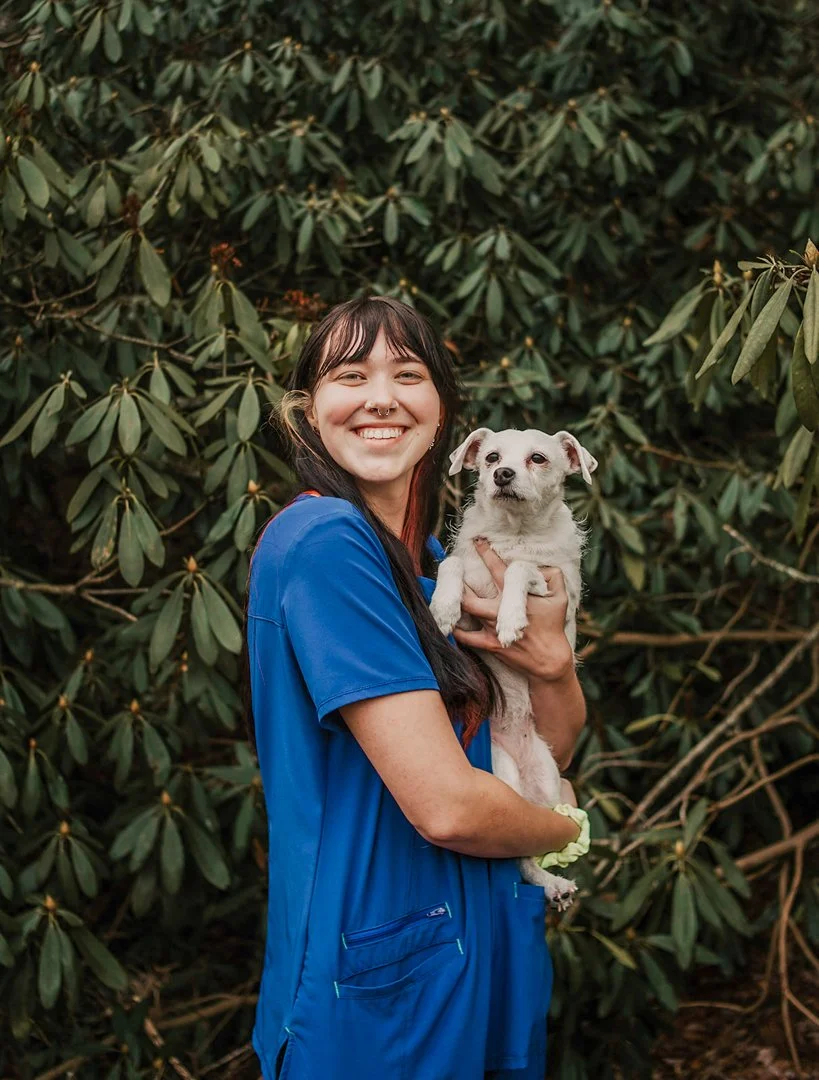 Veterinarians, Veterinary Technicians & Support Staff - Animal Hospital ...