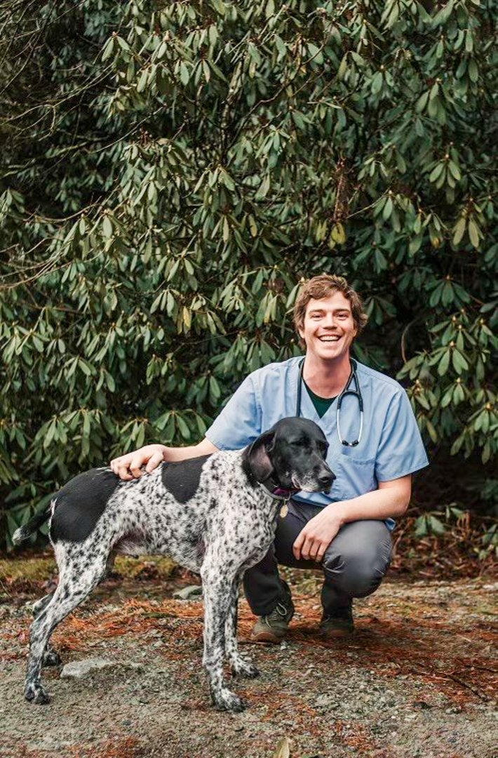 Veterinarians, Veterinary Technicians & Support Staff - Animal Hospital ...