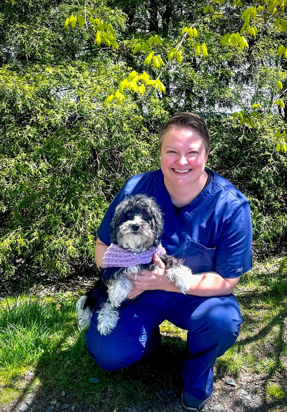 Veterinarians, Veterinary Technicians & Support Staff - Animal Hospital ...