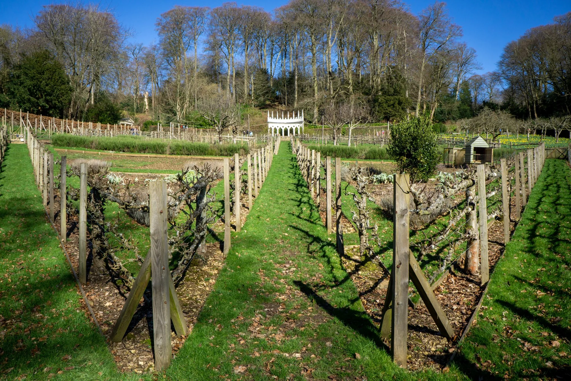 Painswick Rococo Garden & Village — Casper Farrell Photography