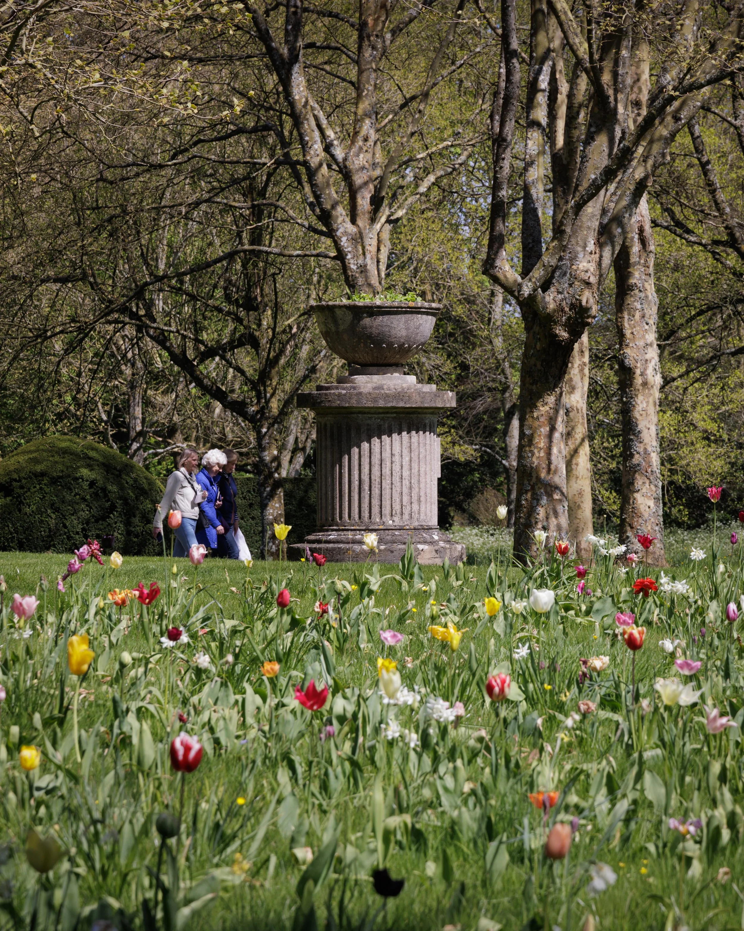 Badminton House and Gardens — Casper Farrell Photography