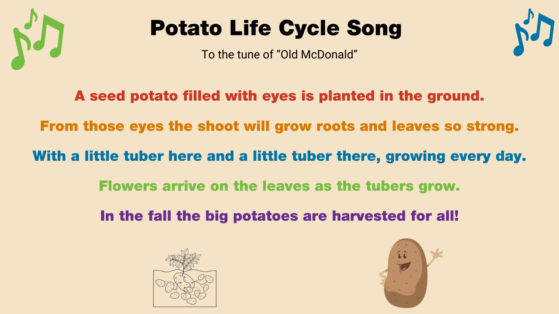Wisconsin Crop of the Month - Potatoes | Food + Farm Exploration Center