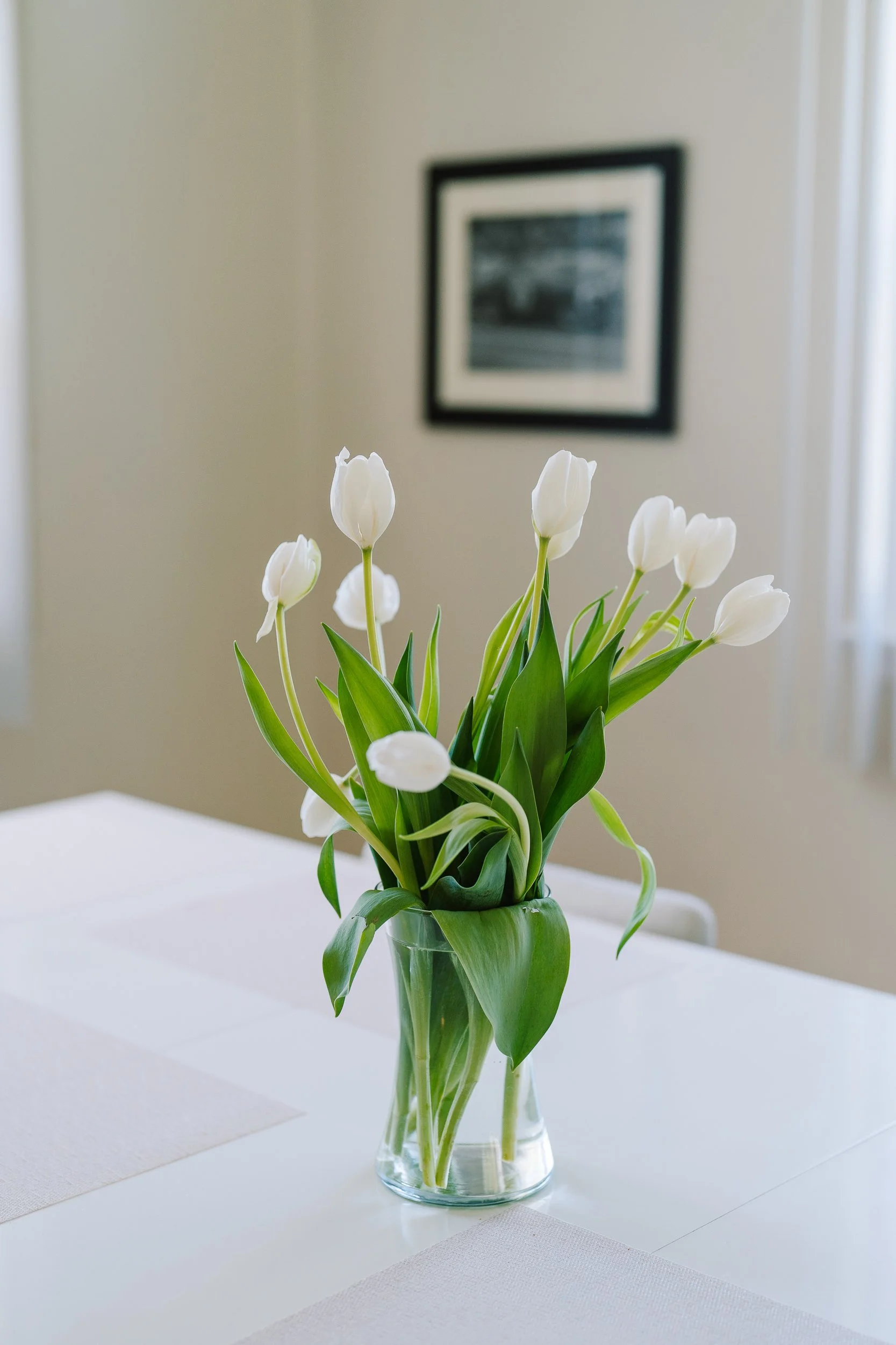 Spring Fling: Kaylie and Andrew's Vibrant Celebration at The Willows in ...