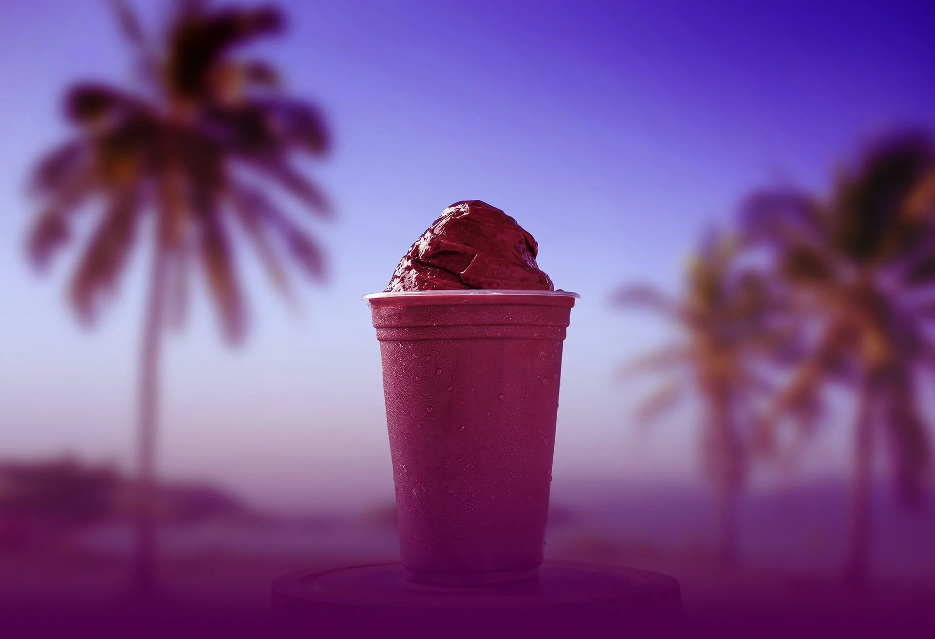 About Us — Earth Flavors Solution