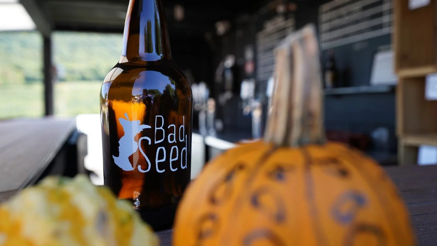 Visit the Bad Seed Taproom and Cidery in Highlands, NY — Bad Seed Hard ...
