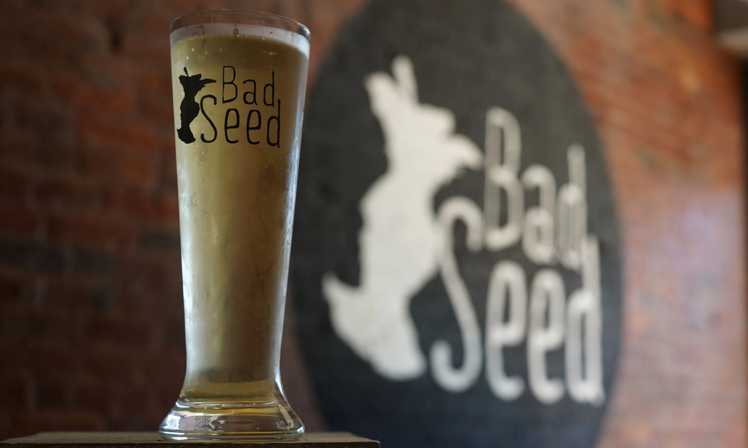 Bad Seed Hard Cider