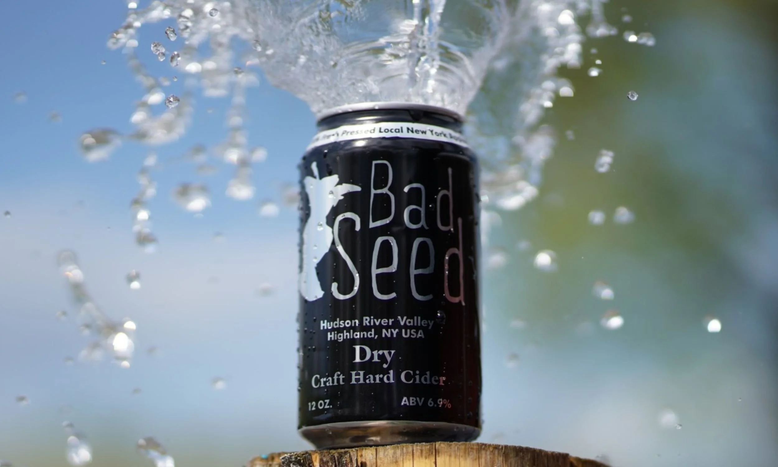 Ciders — Bad Seed Hard Cider