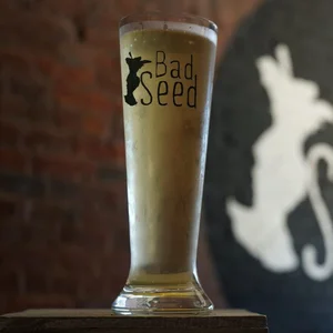 Ciders — Bad Seed Hard Cider