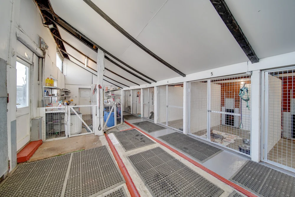 Hanchett Hall Boarding Kennels & Cattery