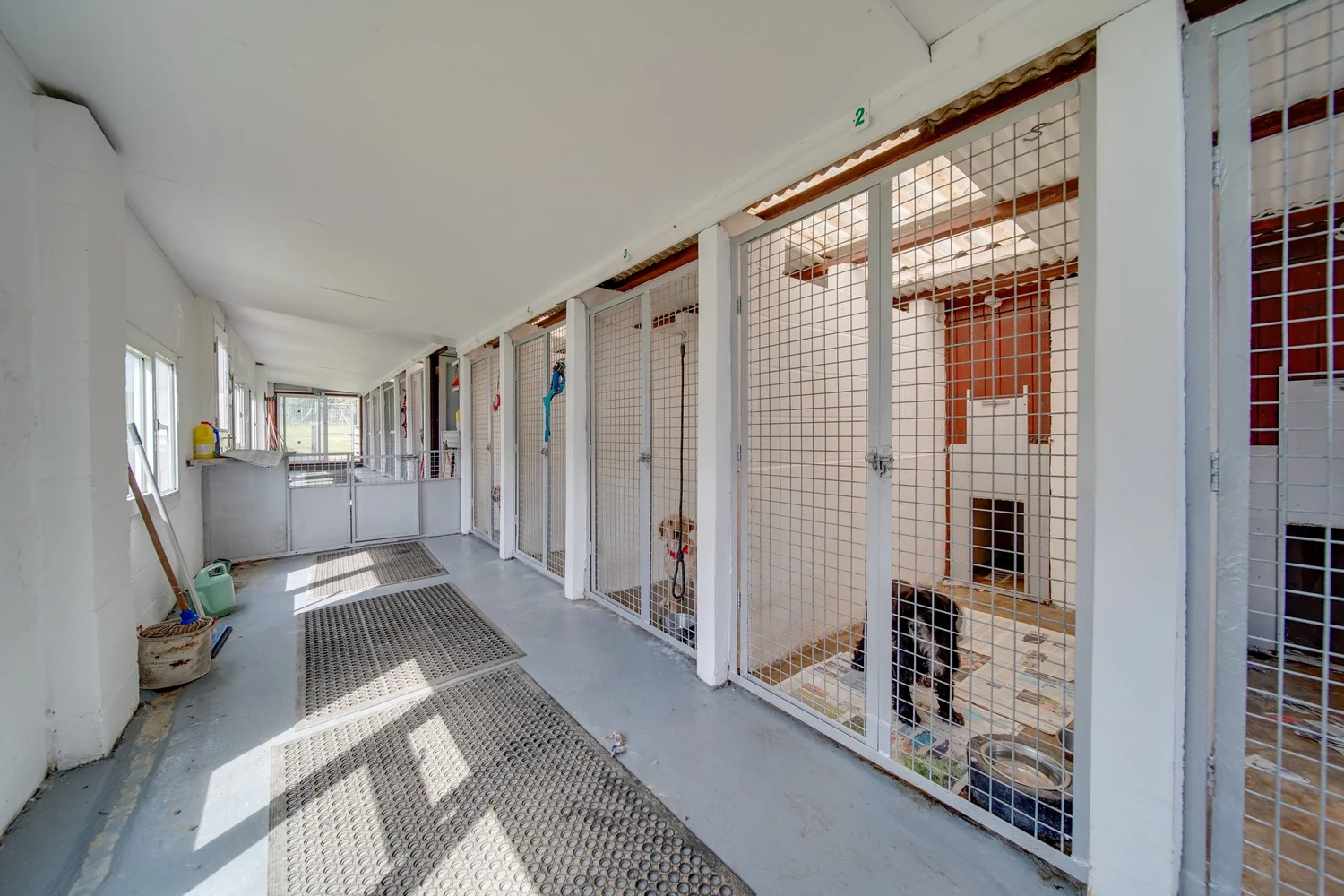 Hanchett Hall Boarding Kennels & Cattery