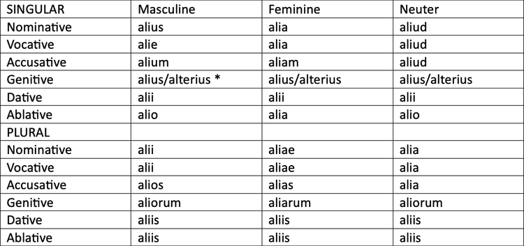 Adjectives - Latin GCSE — My Classics Portal