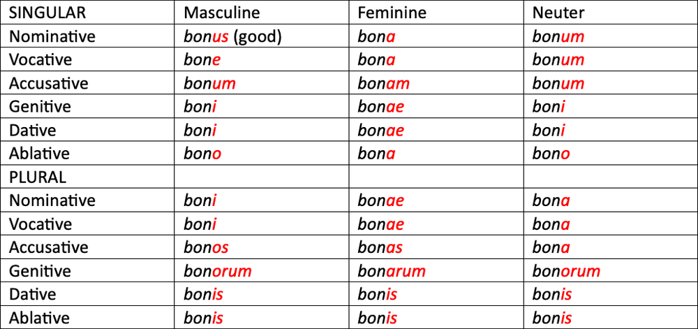 Adjectives - Latin GCSE — My Classics Portal
