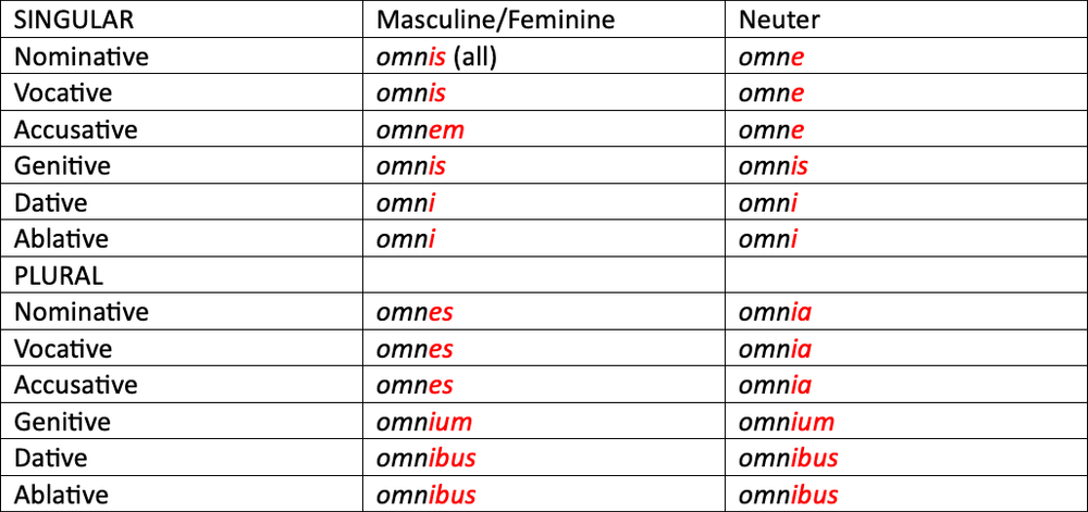 Adjectives - Latin GCSE — My Classics Portal
