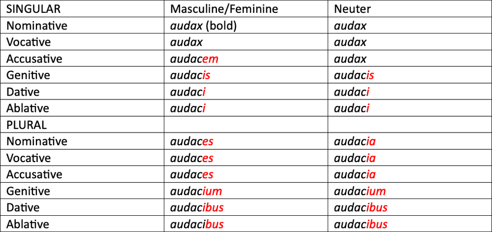 Adjectives - Latin GCSE — My Classics Portal