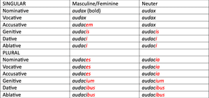 Adjectives - Latin GCSE — My Classics Portal