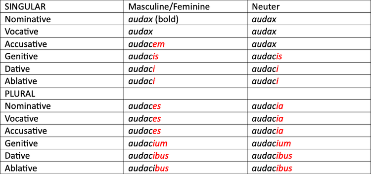 Adjectives - Latin GCSE — My Classics Portal