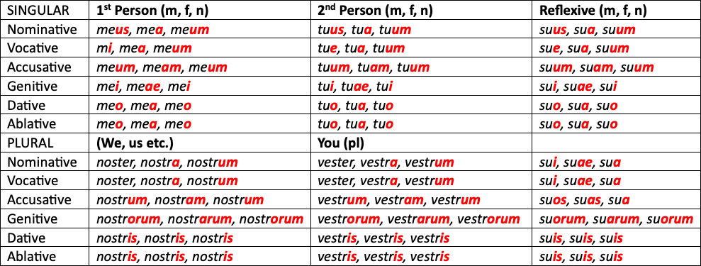 Pronouns (Latin GCSE) — My Classics Portal