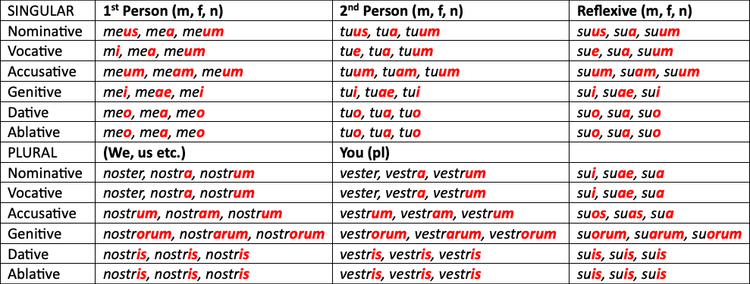 Pronouns - Latin GCSE — My Classics Portal
