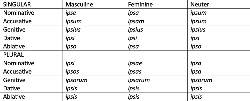 Pronouns (Latin GCSE) — My Classics Portal