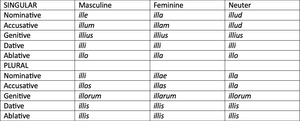 Pronouns - Latin GCSE — My Classics Portal