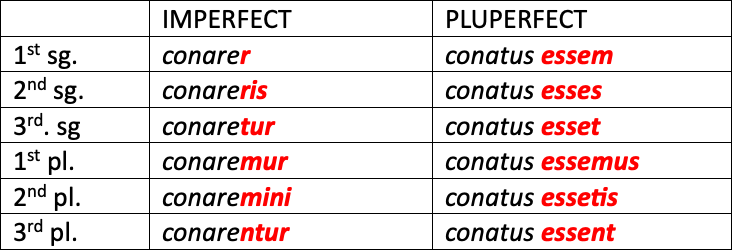 Deponent Verbs (Latin GCSE) — My Classics Portal