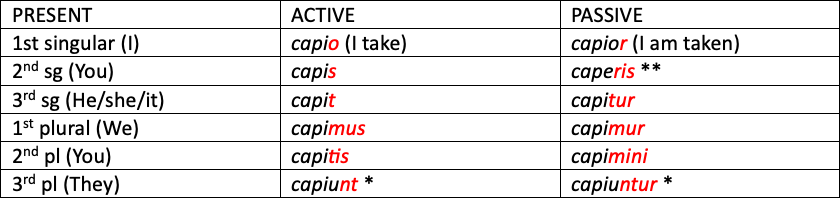 Indicative Verbs - Latin GCSE — My Classics Portal