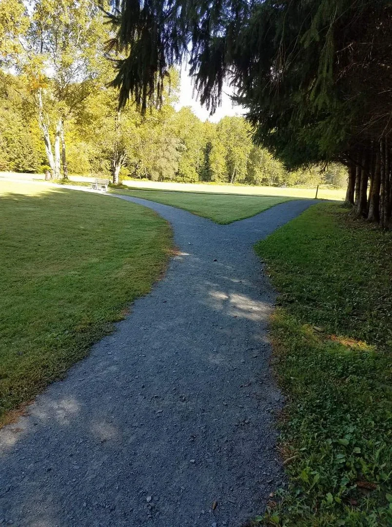 Blog 1 — Clifford Township