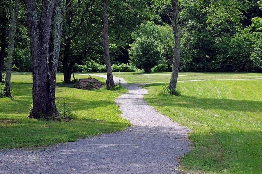 Blog 1 — Clifford Township
