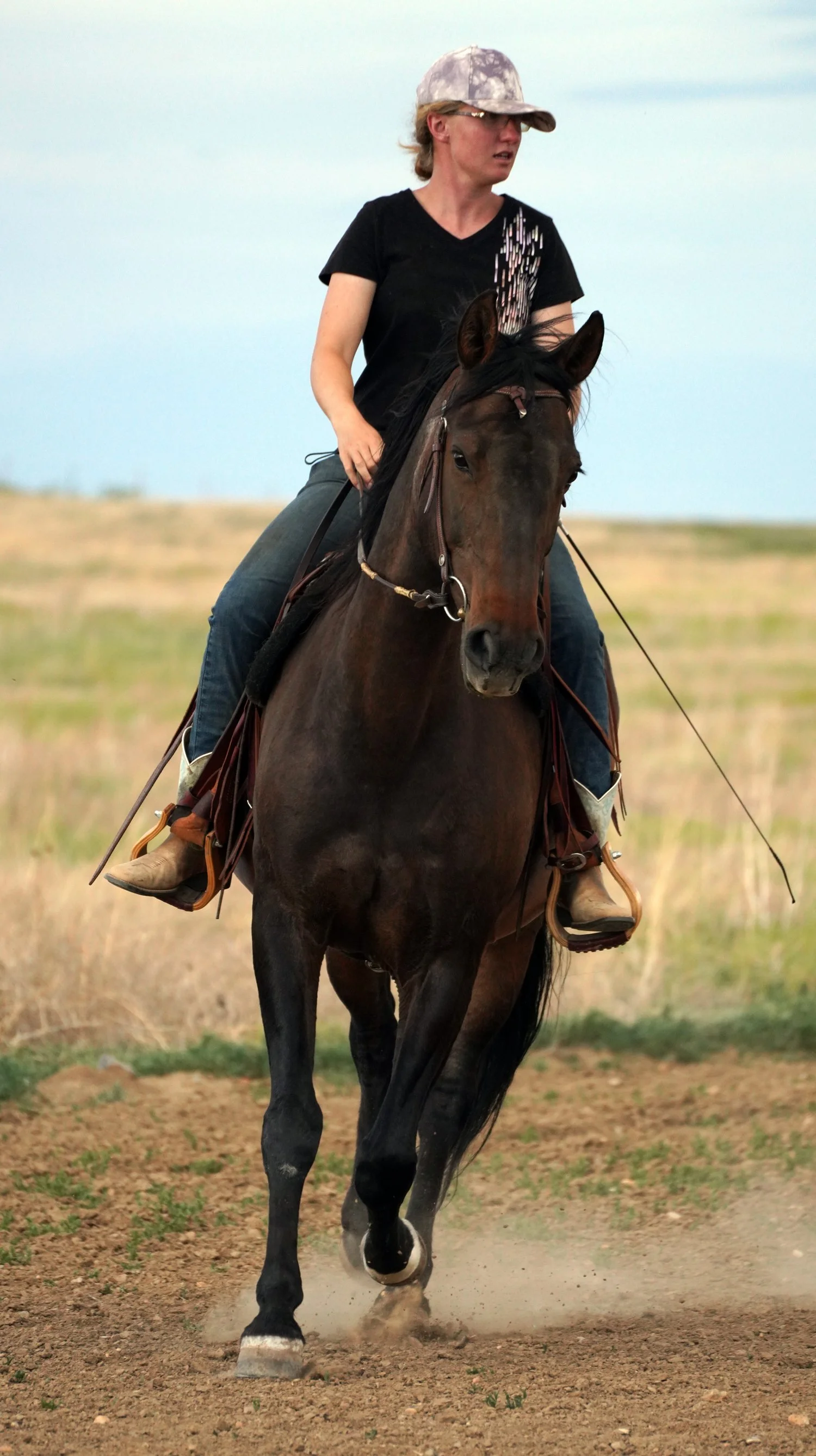 Team 1 — Skylane Equestrian