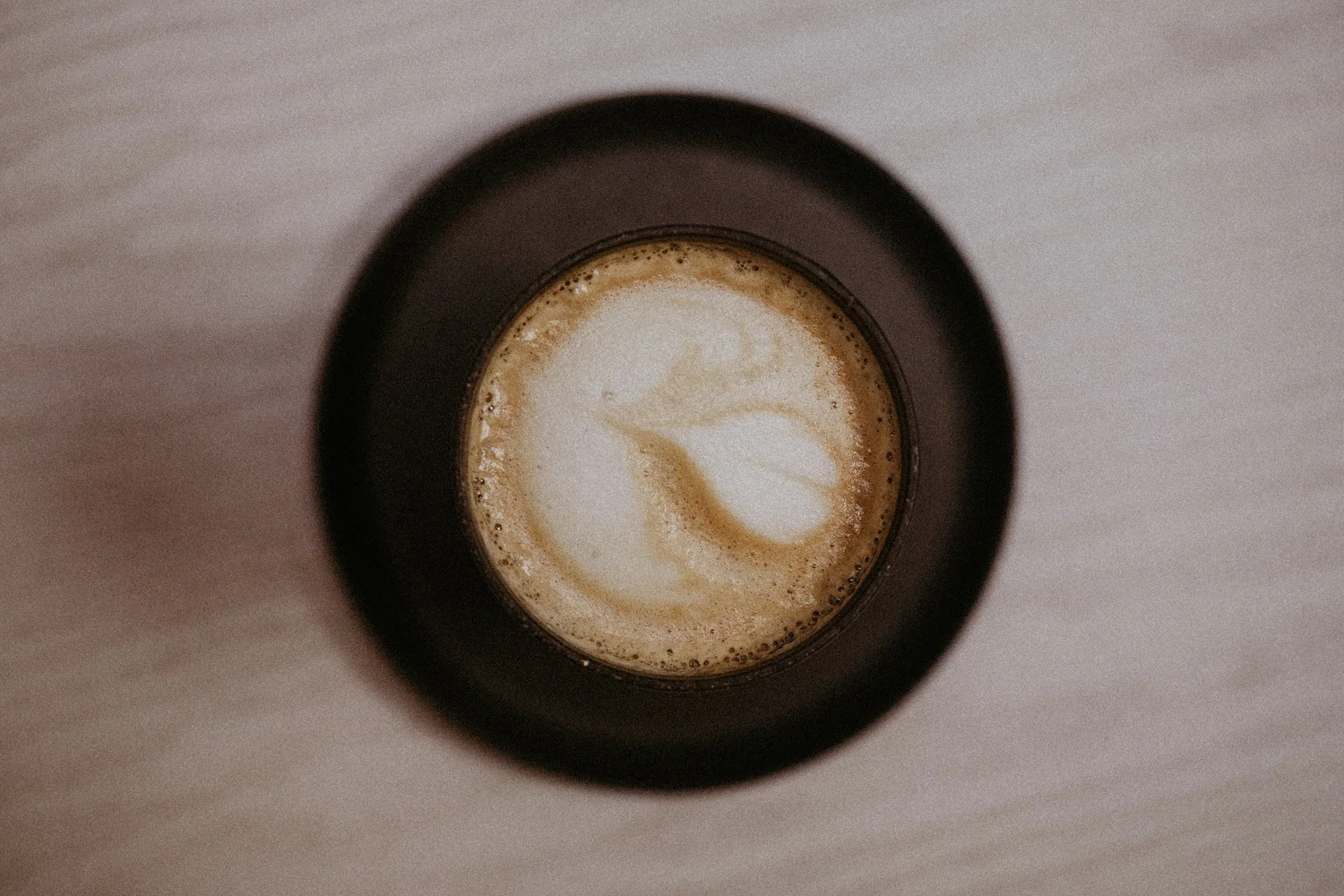 Solid Ground Coffee + Tea