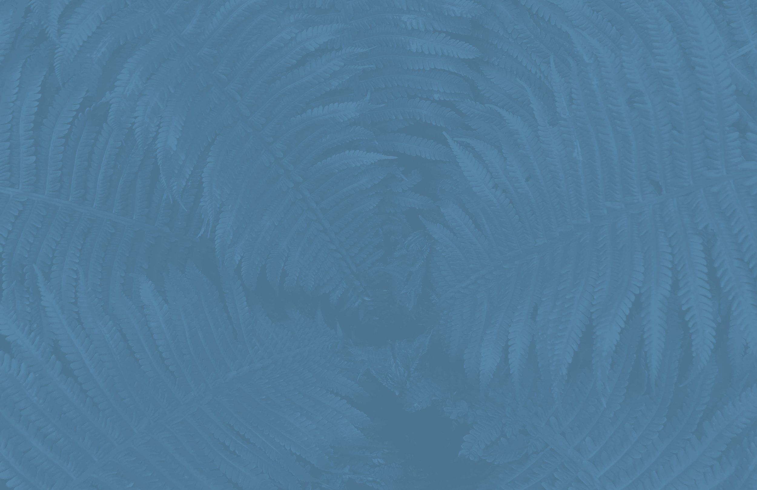 Why Somatics Matter — LAURA BECK Somatics