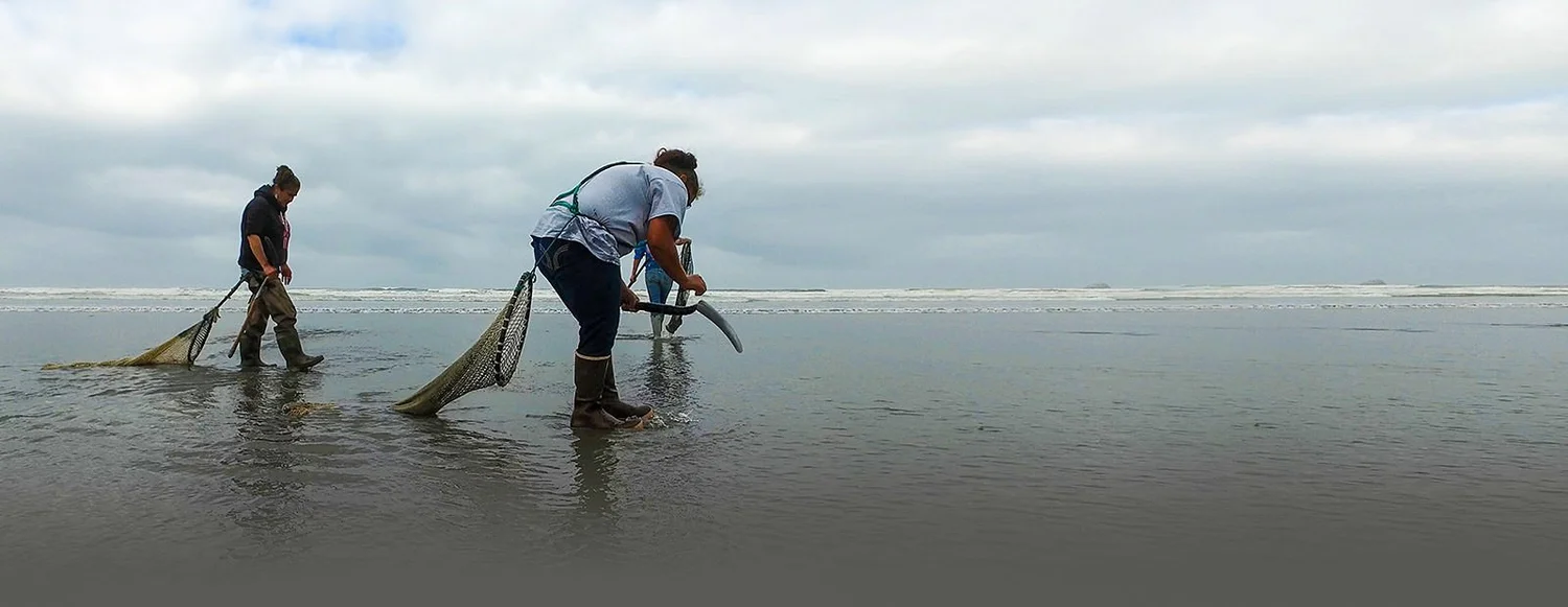 Indigenous Economic Development