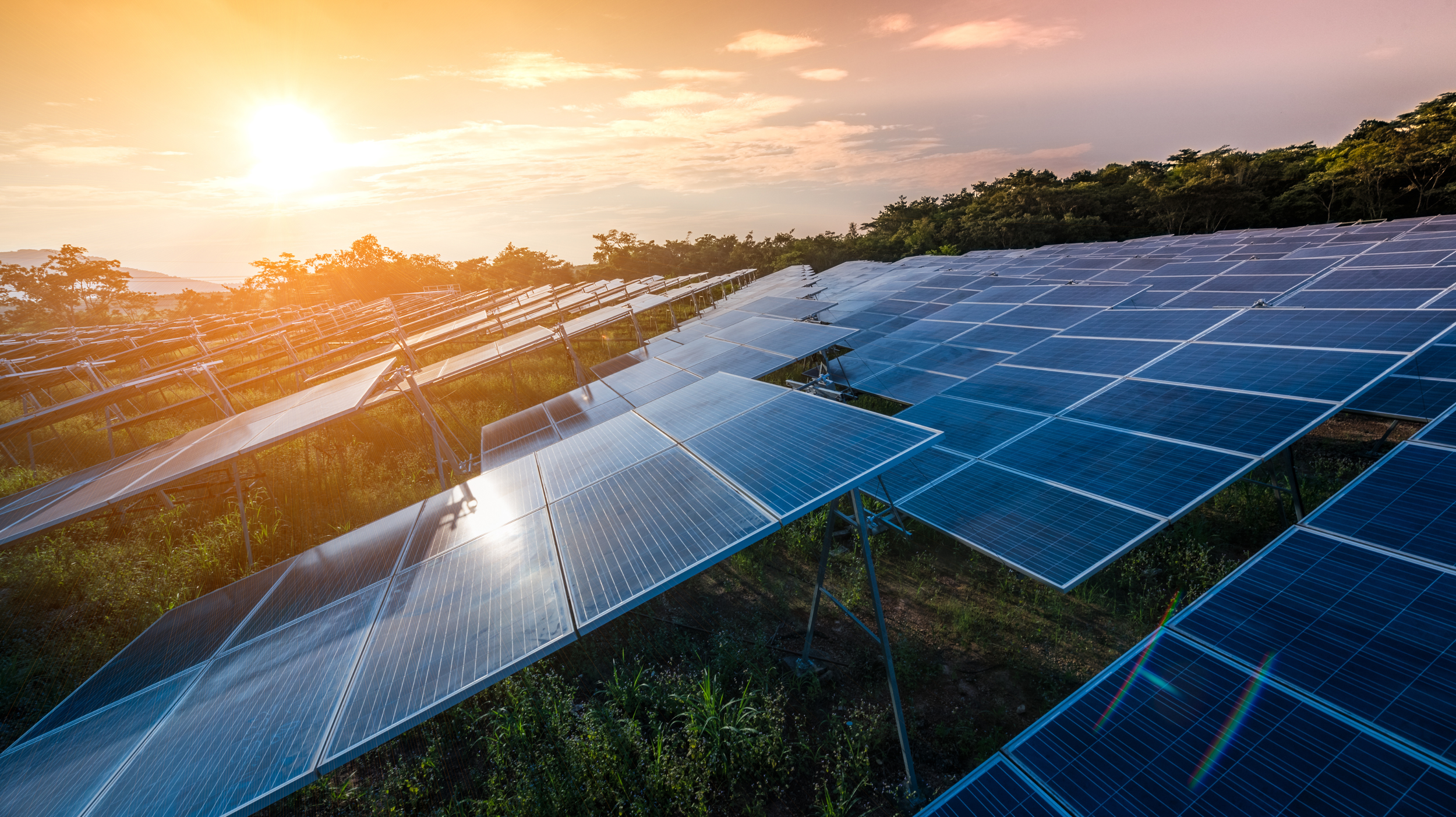 How Solar Systems can power a sustainable future with SolarPulse ...