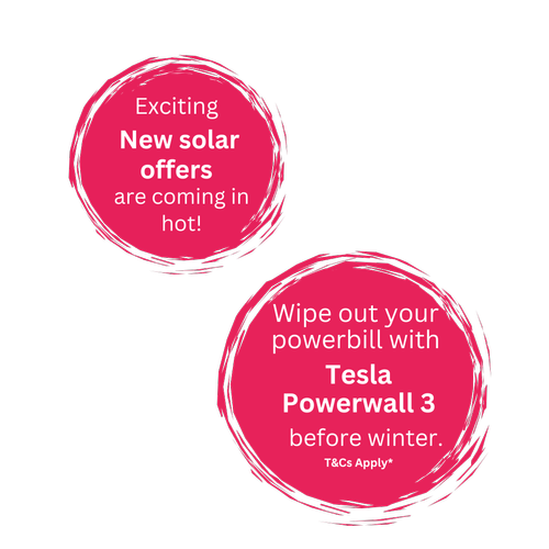 SolarPulse | Top Solar Panel Systems NZ: Your Local Solar Provider
