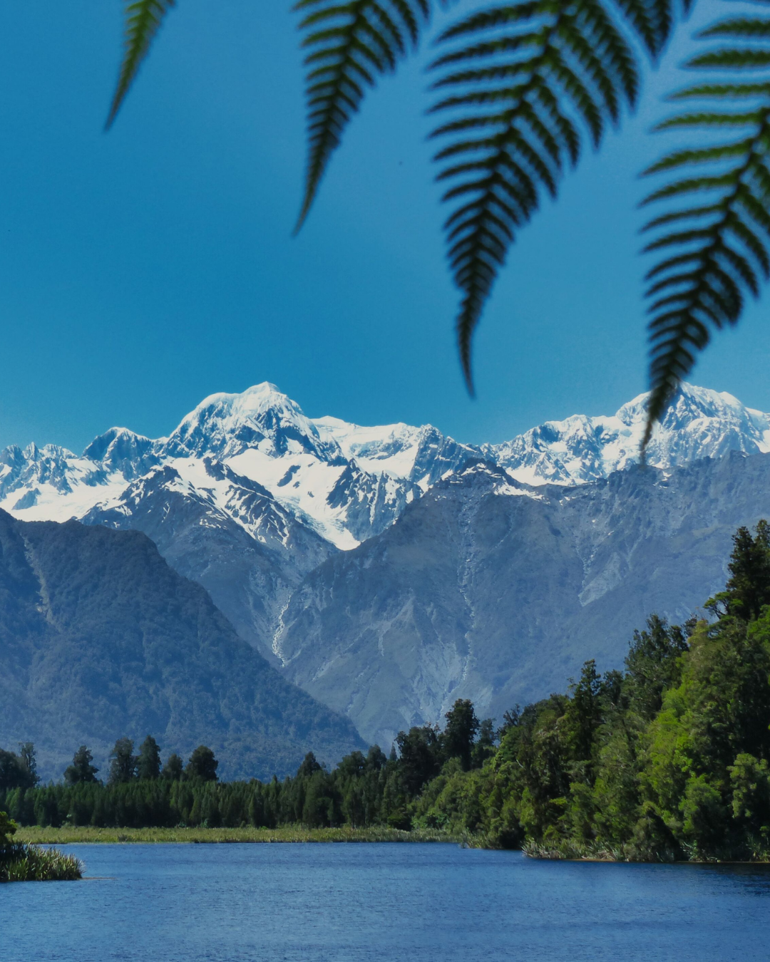 How Solar Systems can power a sustainable future with SolarPulse ...