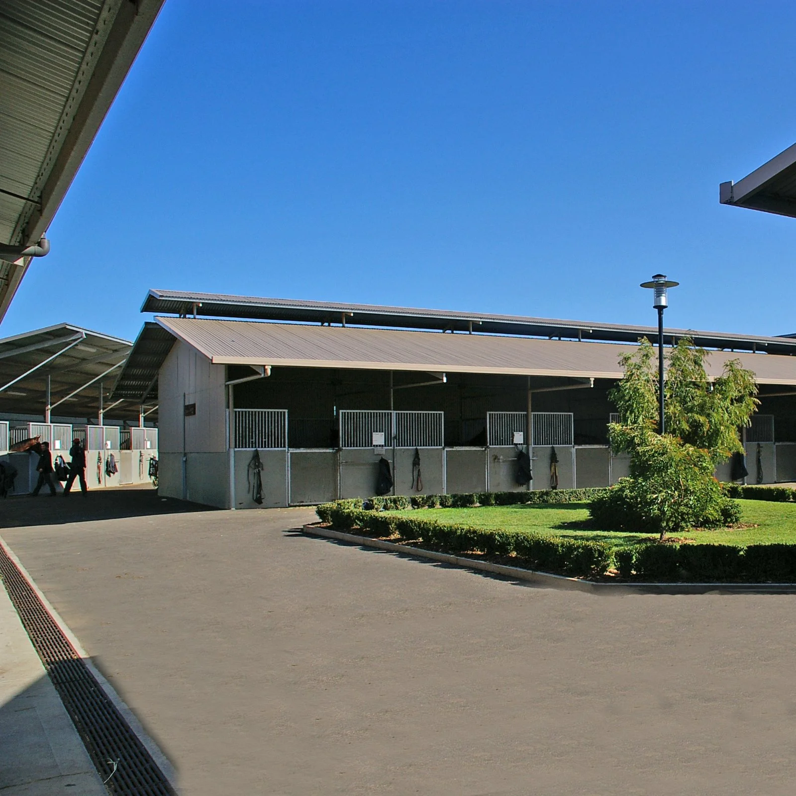 Markdel: Freedman Brothers Thoroughbred Training Complex — Equitecture