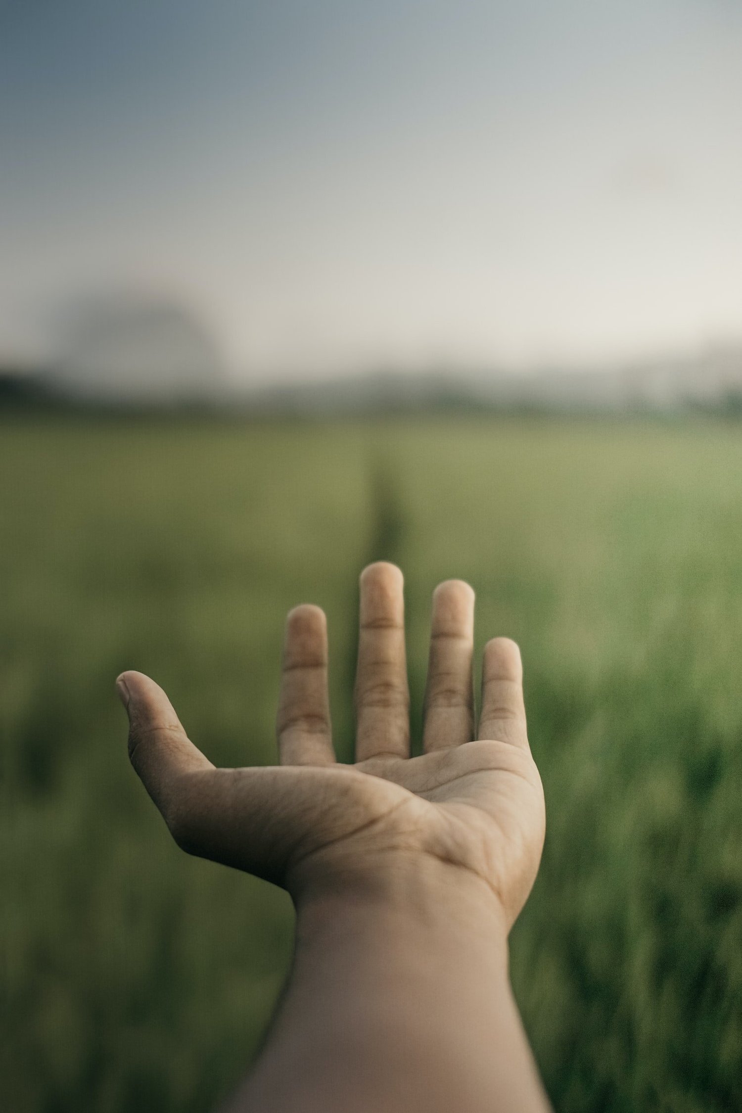 The Joint Denervation Consortium - Minimally Invasive Pain Relief