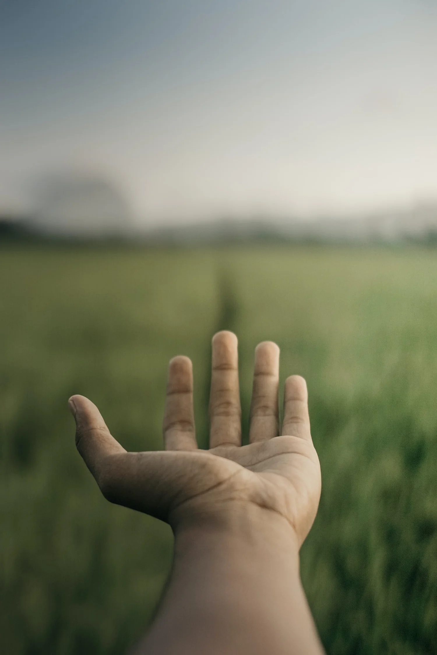 Hand Denervation — Joint Denervation Consortium