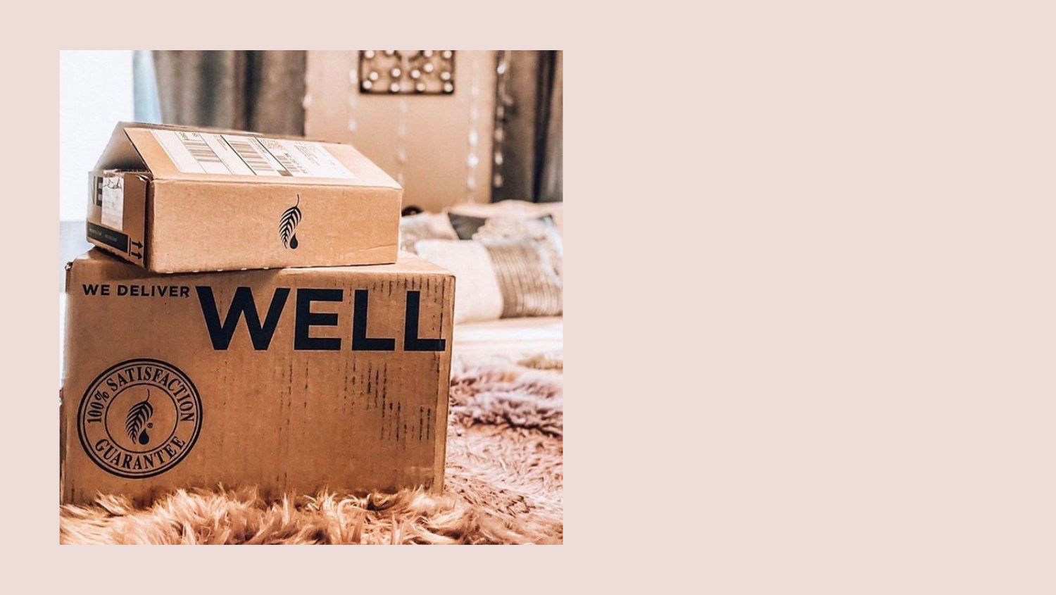 The Wellness Box
