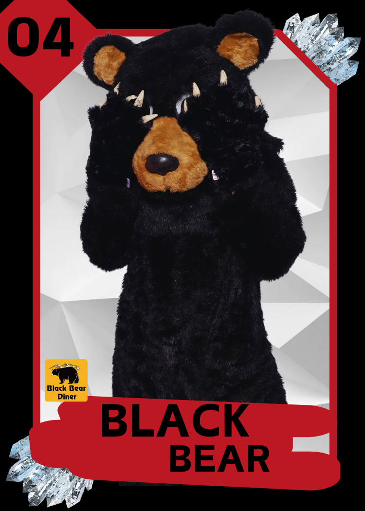 Custom Trading Cards | Photo Booth Activation | Perfect Capture Booth