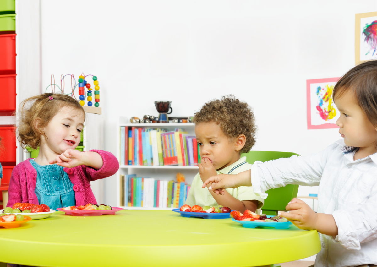 Birmingham Childminders: Do you know about the Childminder Inclusion ...