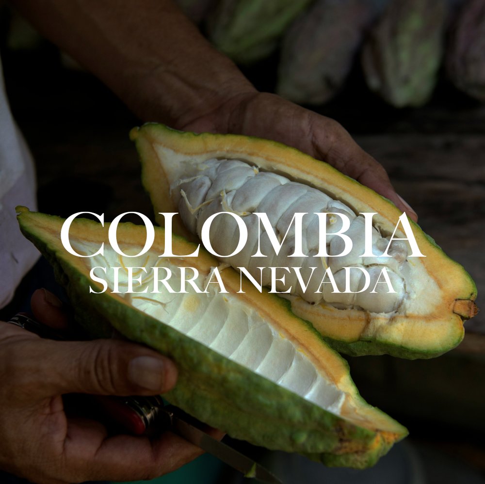 Single Origin Bars — Store — Lemuel Chocolate