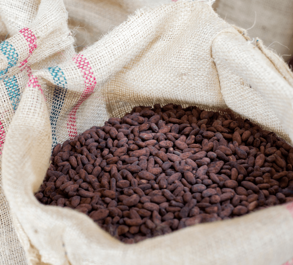 Single Origin Bars — Store — Lemuel Chocolate